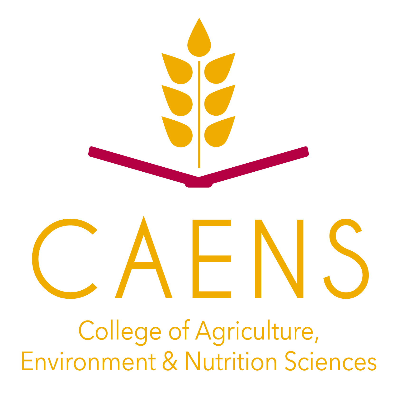 TU CAENS Graduate Programs: Take the Next Step